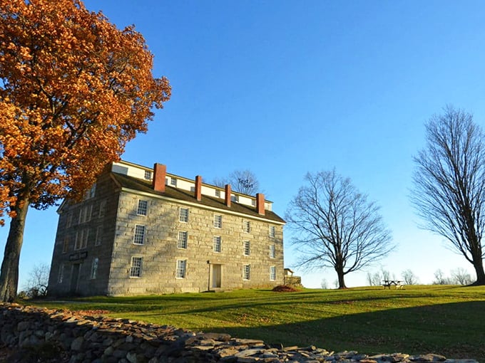 History stands tall in this four-story granite marvel. It's like a 19th-century Hogwarts, minus the magic but plus plenty of charm.