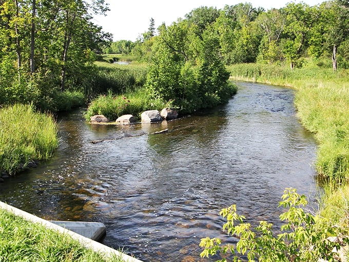 Mother Nature's lazy river! Gentle currents and lush banks promise a serene escape.