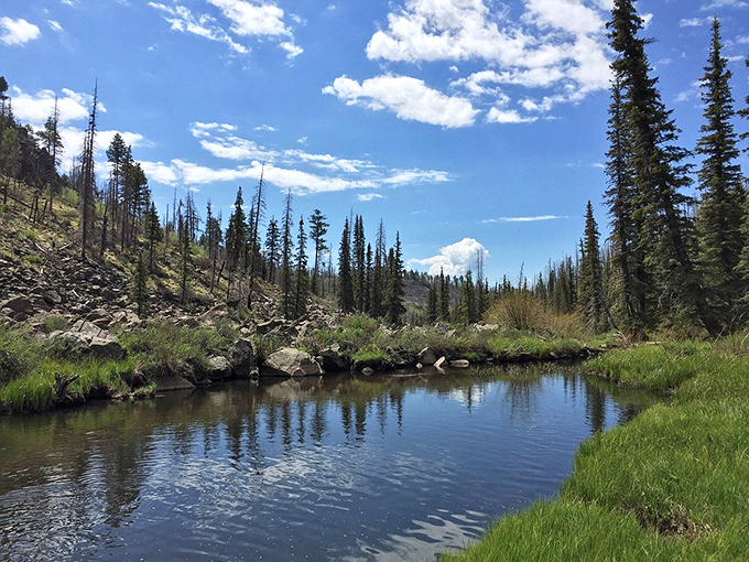 Pinetop-Lakeside: Where pine-scented air meets small-town flair, and relaxation is always on the menu.