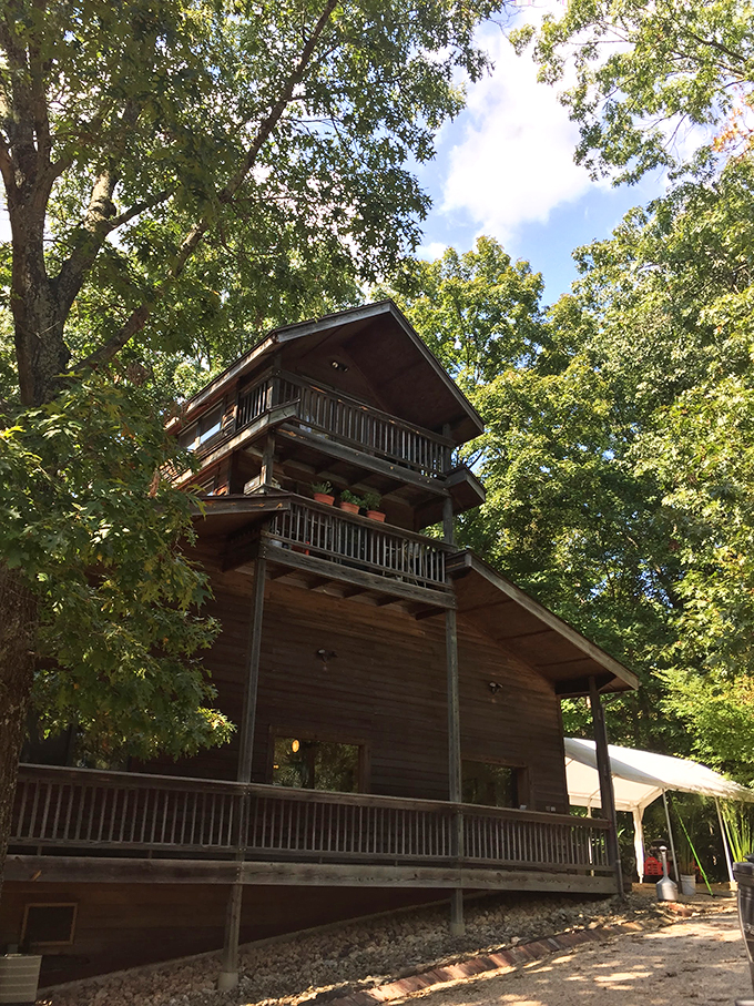 Rustic charm alert! Pomona's cozy cabin tasting room is like a treehouse for grown-ups &ndash; with wine!