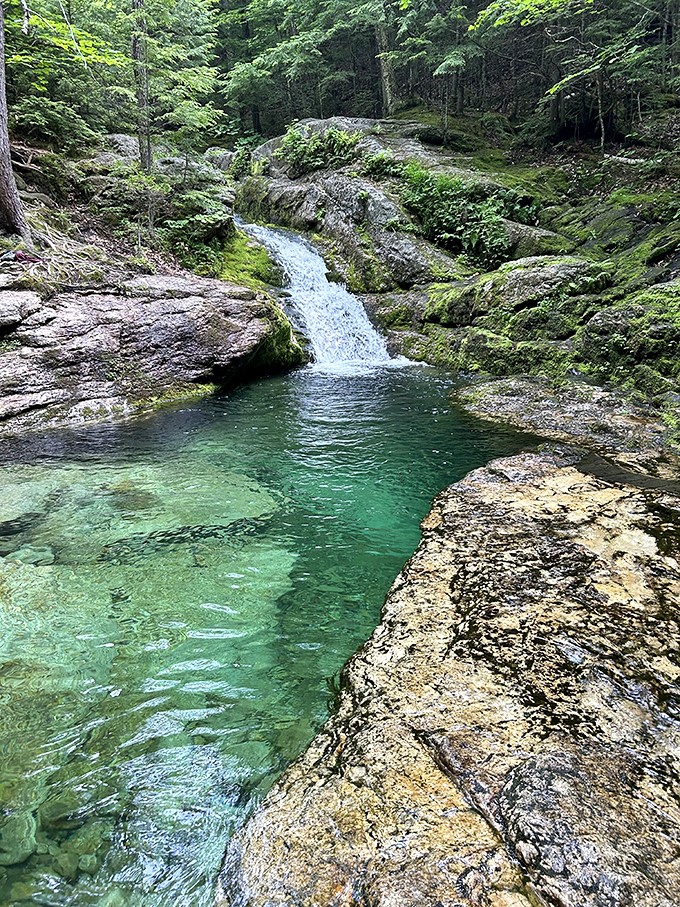 Roadside magic: Rattlesnake Pool appears like a mirage, but pinch yourself &ndash; this emerald oasis is 100% real.