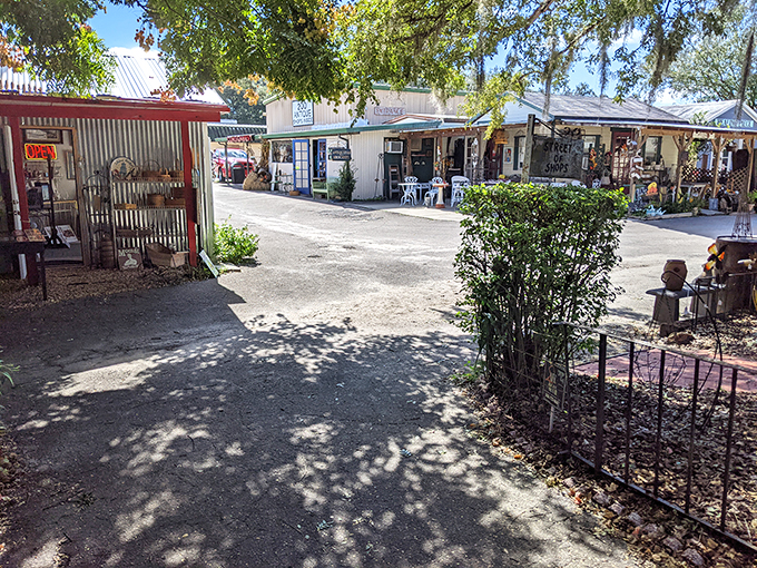 Quaint meets quirky! These charming cottages house a wonderland of antiques and oddities waiting to be discovered.