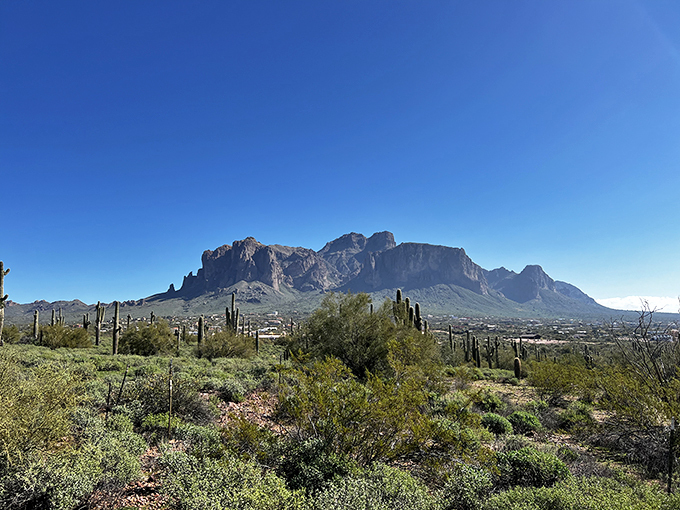 Giddy up and detour! This museum is the perfect pit stop for aspiring cowboys and history buffs.