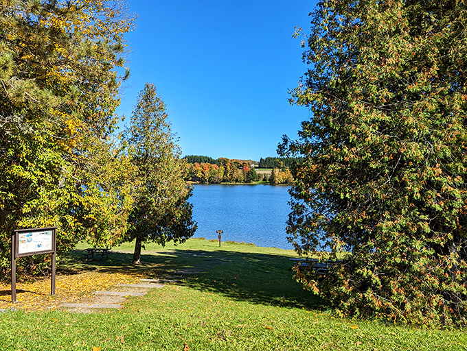 Autumn's palette explodes at Aroostook State Park. It's like Mother Nature went wild with her Crayola box.