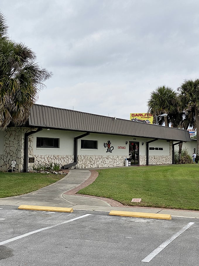 From vintage hot rods to modern speed demons, it's a high-octane trip down memory lane.