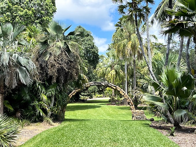 Palm frond paradise! This tropical oasis is where snowbirds come to thaw and coconuts go to college.
