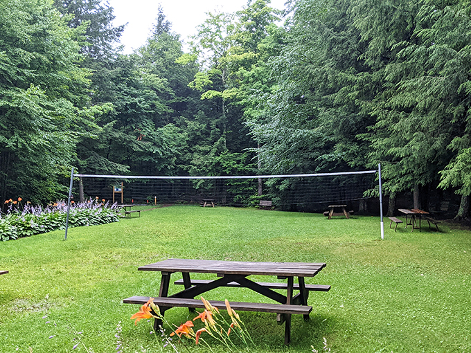 The road less traveled, literally. This winding path through lush greenery is like stepping into a living postcard.