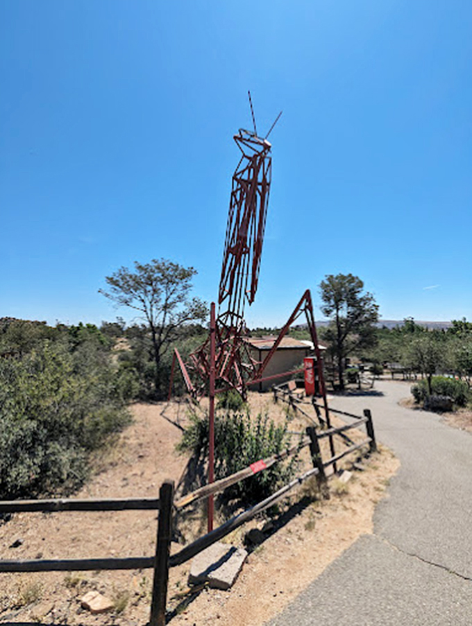 Become a zookeeper for a day. Spoiler alert: it involves less cuddling and more scooping than you'd think.