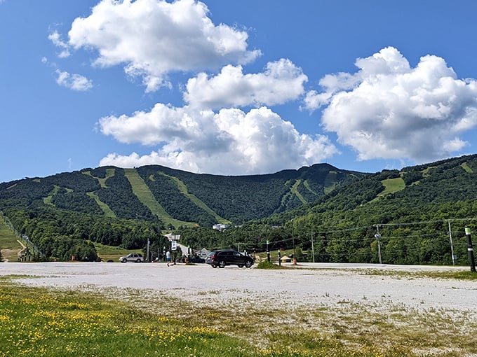 The Beast of the East in repose. Killington's summer greens are a soothing balm after winter's wild white rides.