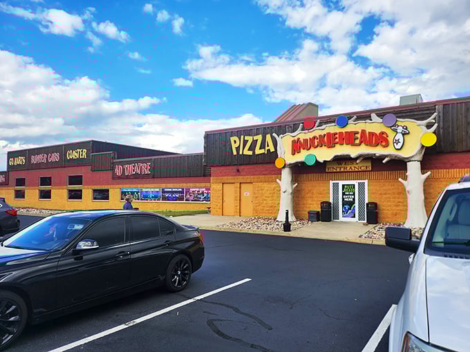 Part trampoline park, part cartoon come to life. Knuckleheads is where adults come to forget they have knees.