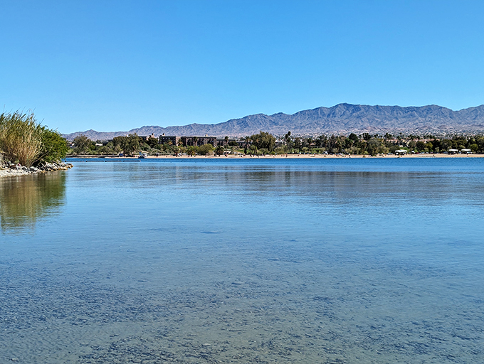 Trading asphalt for sand? This pit stop promises adventure on land and water alike.