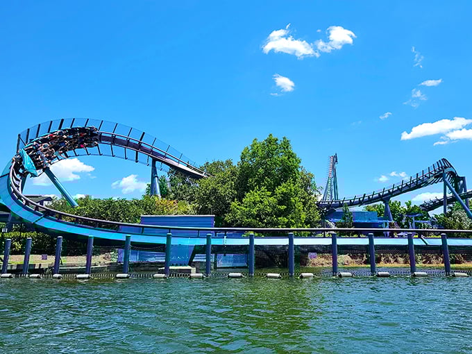 Hold onto your hats &ndash; and your lunch! Mako's twists and turns are the roller coaster equivalent of a Twister game.