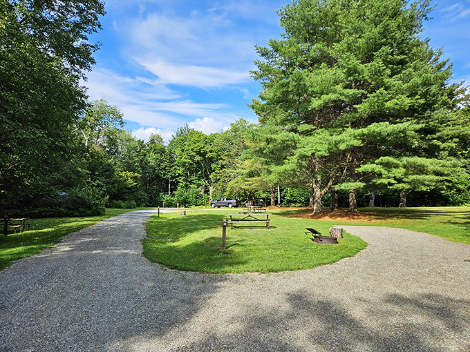 From roadway to ridgeline, this park proves the journey and destination can both be showstoppers.