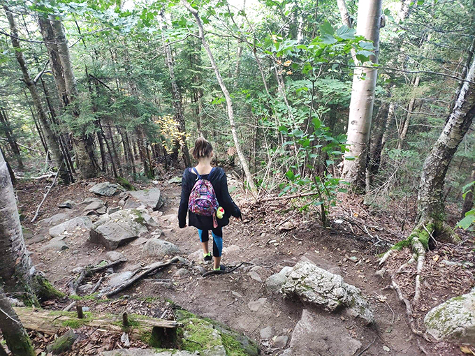 Mount Pisgah Trail: Where the trees part like nature's own curtains, revealing a view that'll make you forget all about your Netflix queue.