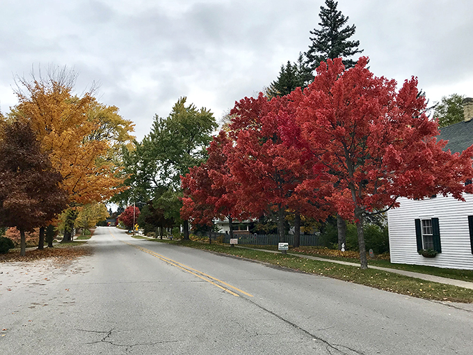 Shop 'til you drop... into a cozy chair with a view. Northport's downtown is a treasure trove of quirky finds and lakeside vibes.