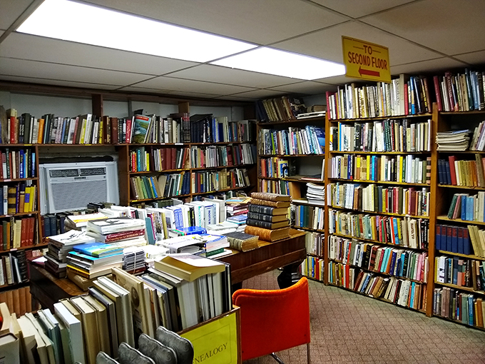 Navigate through floors of fiction and fact. It's a road trip for your mind, no gas required!