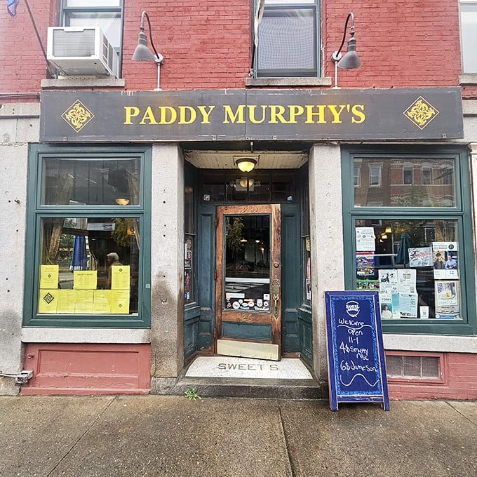 Hit the brakes for this hidden gem! Paddy Murphy's is the pit stop that might just become your final destination.
