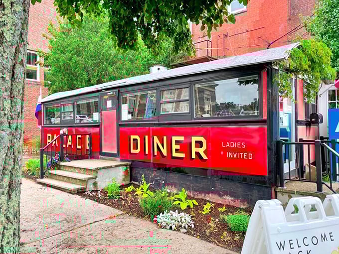 "Ladies Invited" &ndash; as if we needed an excuse! Palace Diner's cozy interior promises intimate chats and hearty eats.