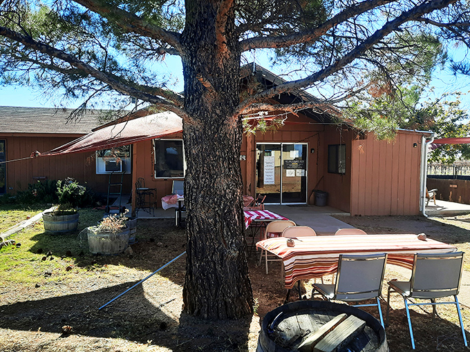 Saddle up for sips at Pillsbury! This winery looks like it rode straight out of a John Wayne flick &ndash; with better refreshments.