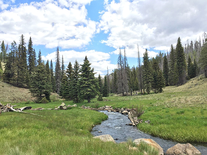 Road trip recharge: Pinetop-Lakeside's lakes and trails invite you to stretch those driving legs.