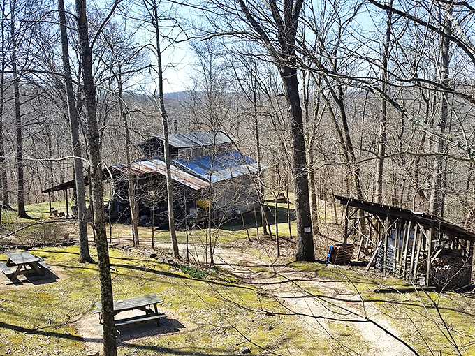 Winter wonderland or wine lover's paradise? At Pomona, you can have both in this picturesque forest setting.