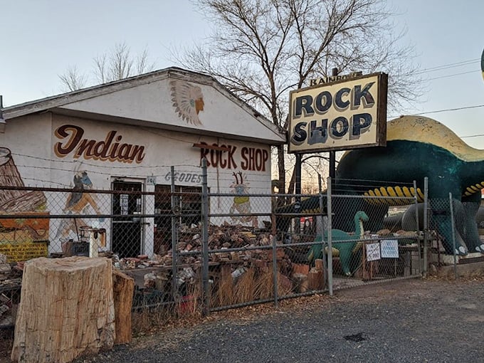 "Rock shop or Jurassic jamboree? Why not both! Geodes, petrified wood, and concrete dinos galore."