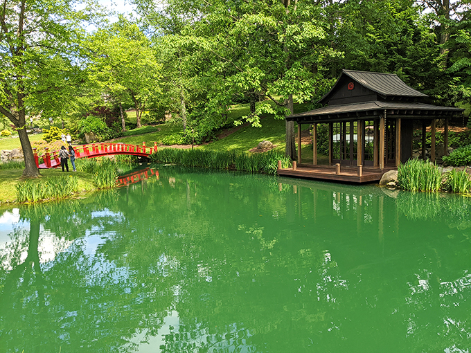 Steer towards serenity! It's a roadside attraction where you can park your stress and fuel up on tranquility.