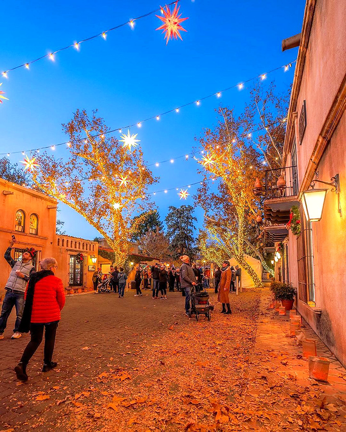 Sedona's red rocks get dressed up for the holidays, proving even nature loves a good Christmas party.