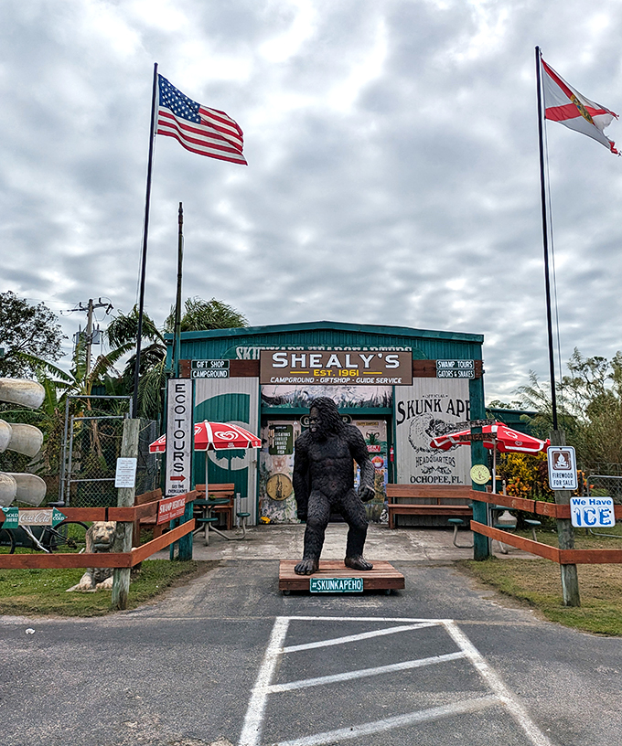 Pack your sense of adventure (and nose plugs). This Everglades outpost is where sasquatch meets swamp chic.