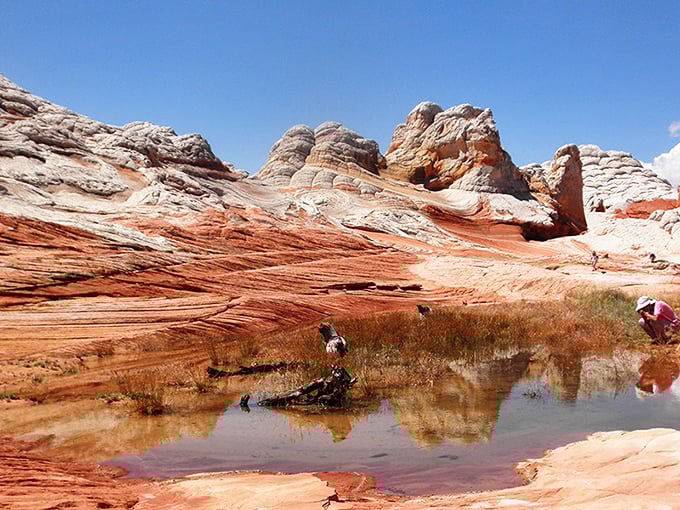 Geological rollercoaster: Undulating lines of red and yellow rock create a mesmerizing, frozen ocean of stone.