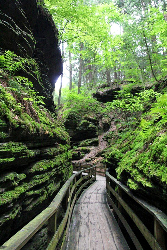 Wooden walkways wind through moss-covered rocks. It's like stepping into a fairy tale, minus the evil stepmother.