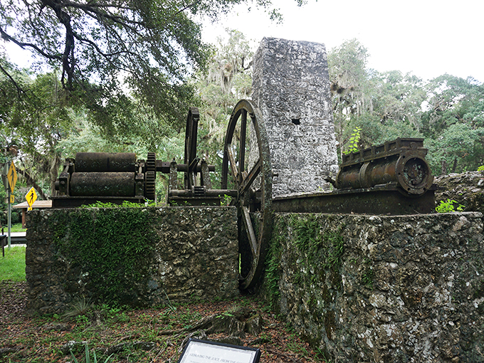 Nature reclaims industry. Live oaks spread their majestic canopies over the remnants of Florida's sugar-coated past.