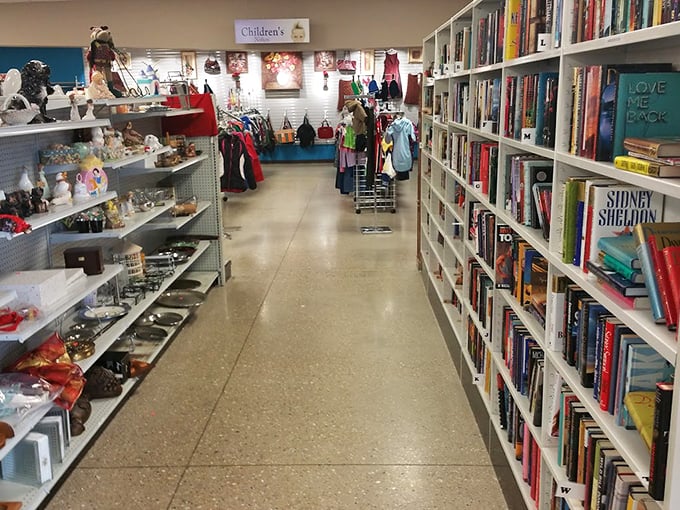 Bookworms, rejoice! This literary labyrinth is where forgotten tales find new homes and imagination runs wild. What story will you discover today?