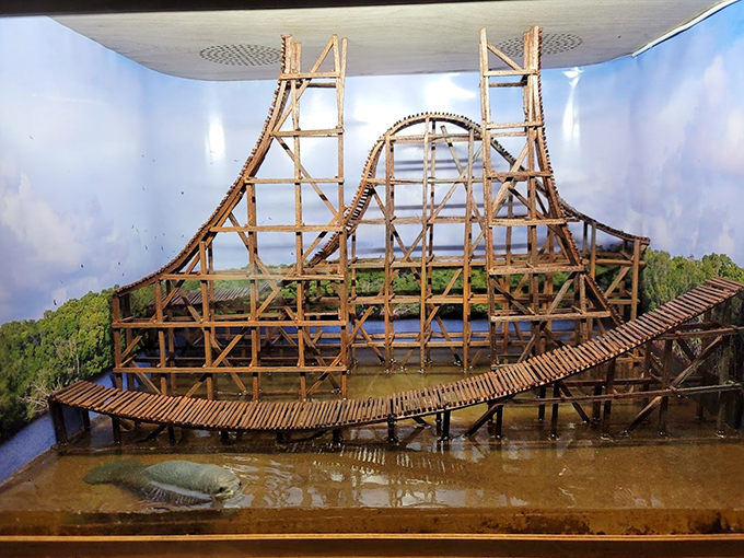 Honey, I shrunk the rollercoaster! This miniature wooden wonder makes me feel like a giant ready to conquer the world's tiniest thrill ride.