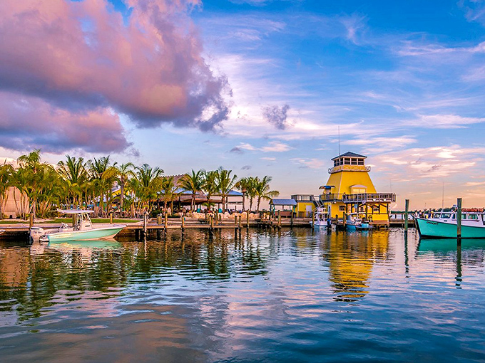 Sunset spectacle: A golden hour so magical, it turns boats into silhouettes and the sky into a painter's palette. Grab a seat and enjoy Mother Nature's nightly show!