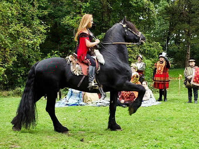 Giddy up and gallop through time! This majestic steed and its rider are giving us major "Game of Thrones" vibes, minus the dragons.