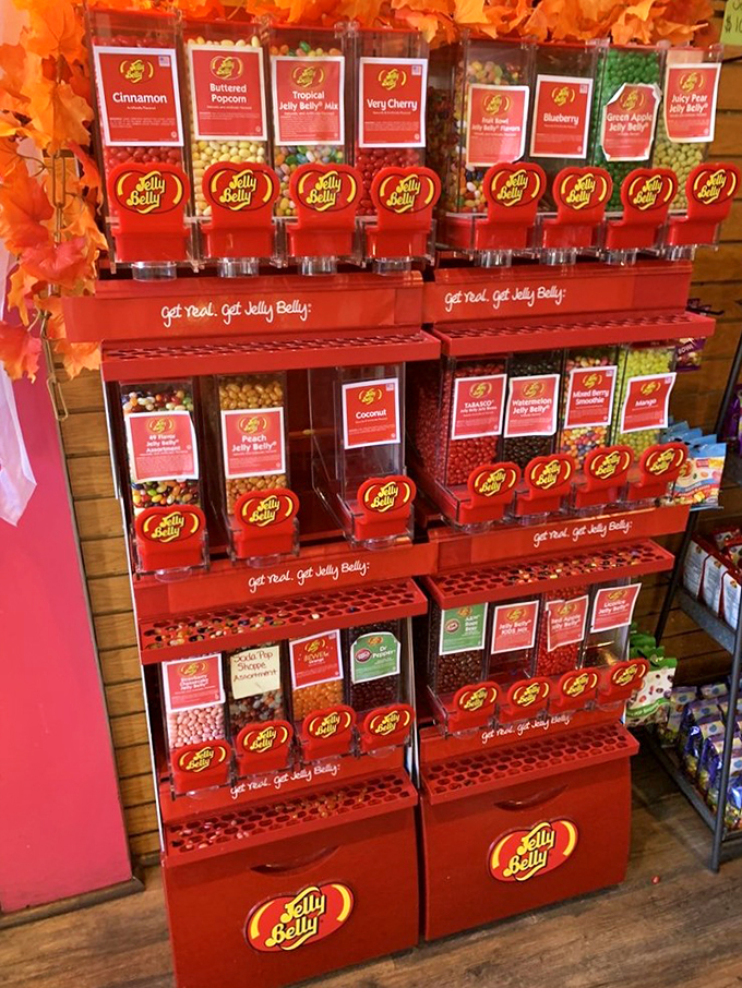 Jelly bean jackpot! This colorful display is like a Vegas slot machine for your taste buds. Pull the lever and let the flavors roll!