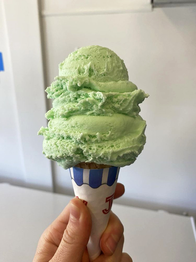 Pistachio perfection in a cone! This green giant is the Hulk of ice cream flavors – minus the anger issues, plus extra nuttiness.