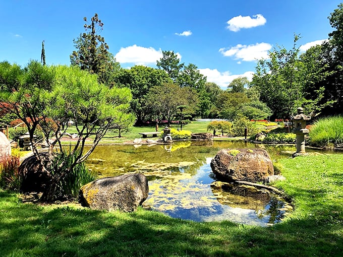 Reflections of beauty. This mirror-like pond captures the garden's splendor, doubling the visual feast for lucky visitors.