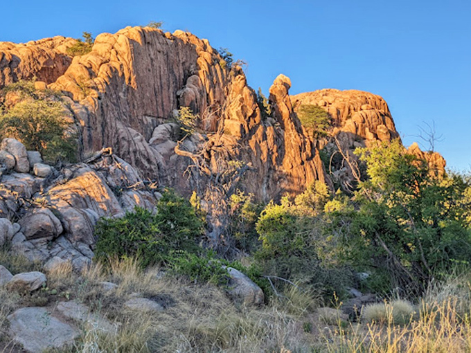 Mother Nature's sculpture garden: where rocks pose dramatically and trees photobomb with style.