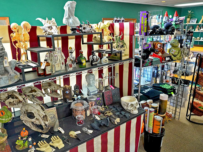 From Egyptian gods to creepy crawlies, this souvenir stand is where Indiana Jones meets the Munsters for a wild shopping spree.