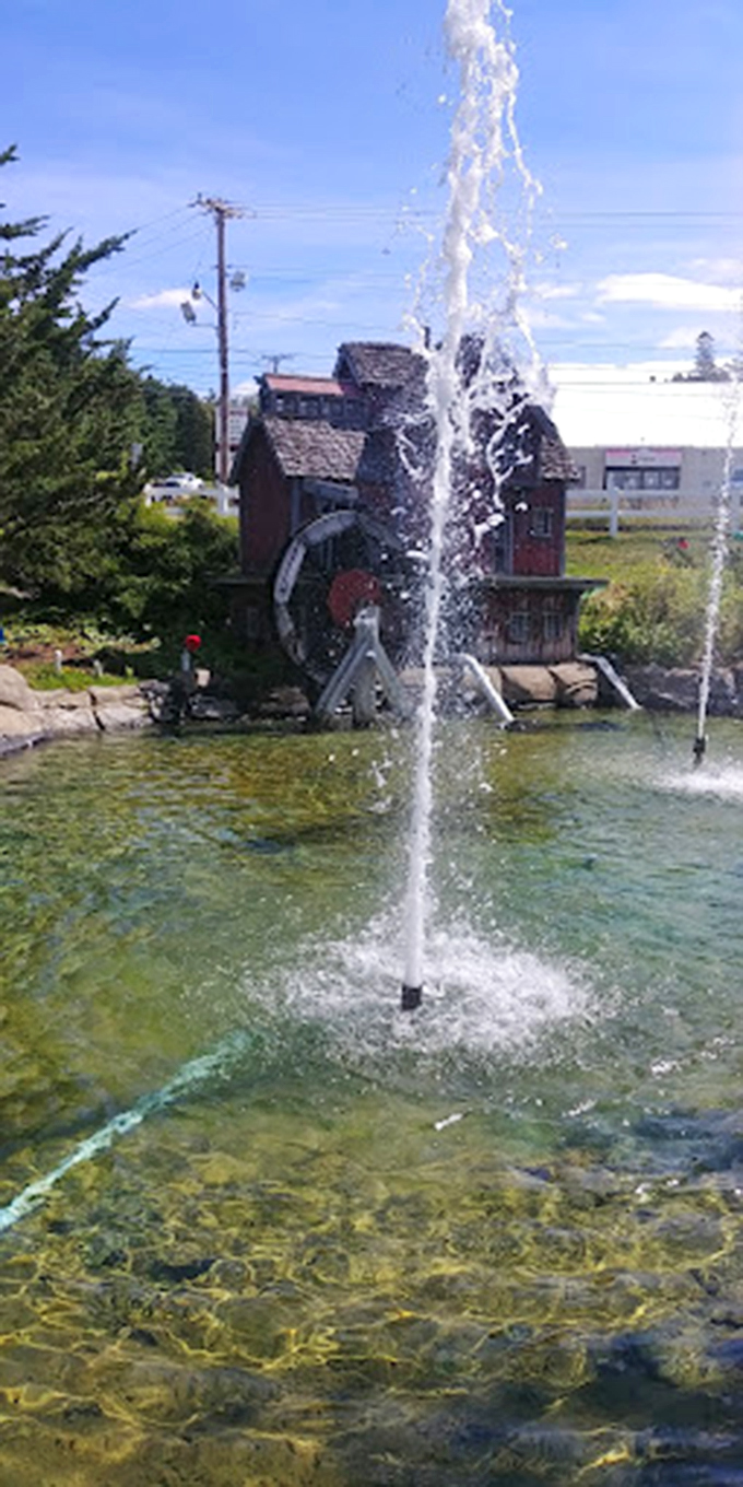 Splash zone alert! This charming water feature adds a touch of zen to your adrenaline-fueled day. Namaste, speed racers.