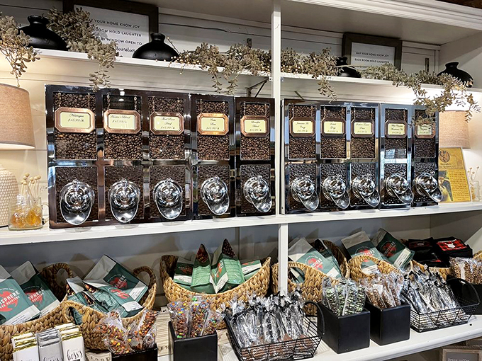 Candy, candy everywhere, and every bite a treat! This cornucopia of confections would make even the Candy Man jealous.