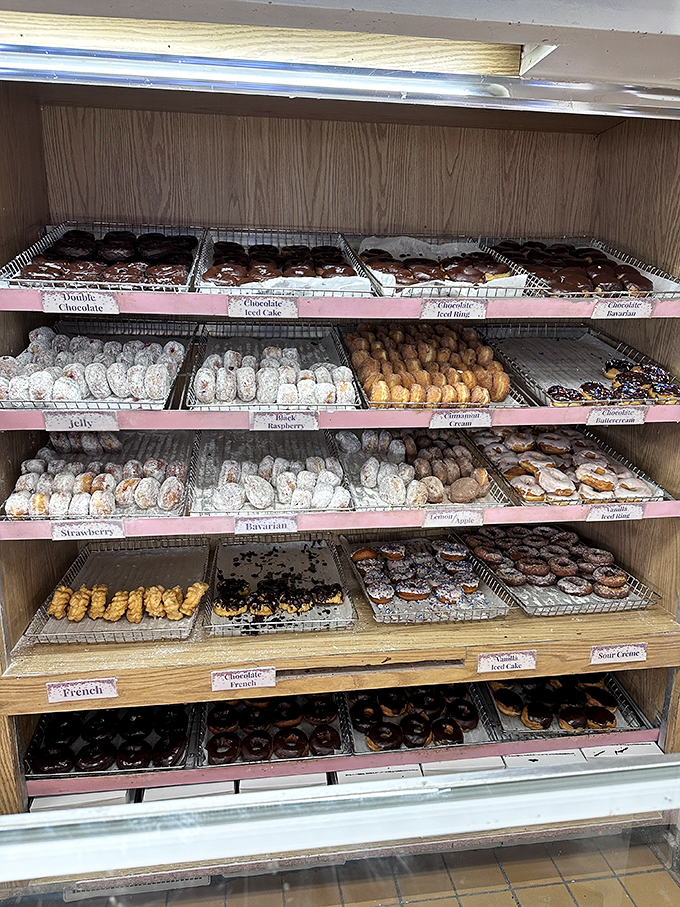 Donut nirvana achieved! This display case is a kaleidoscope of confectionery dreams, each shelf a different chapter in the epic saga of fried dough.