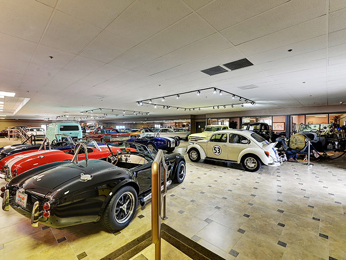 It's like a rainbow made of metal and rubber! These classic beauties are lined up prettier than a chorus line at the Copacabana.