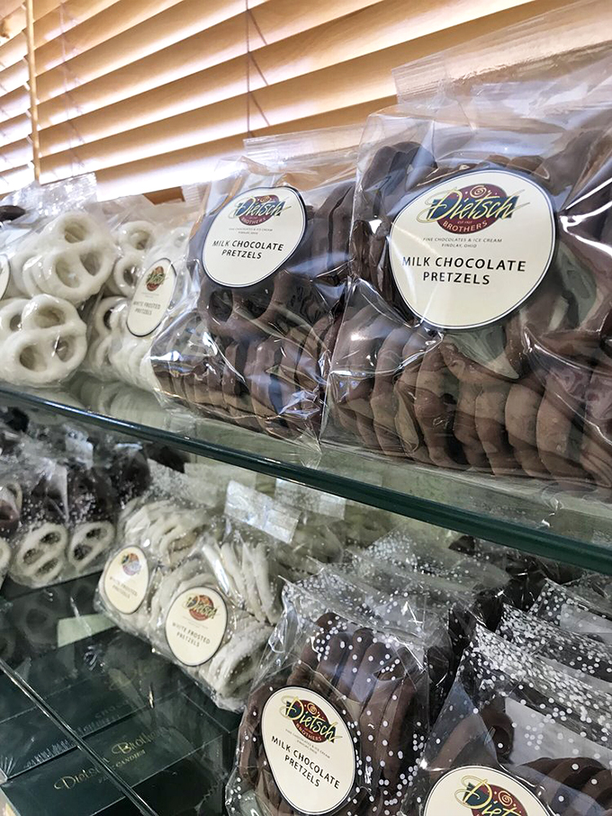 Chocolate-covered pretzels: Where salty meets sweet in a dance of deliciousness. Resistance is futile!