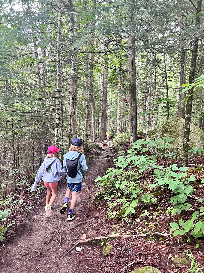 Little legs, big adventure! These pint-sized explorers are proving that the best family bonding happens on the trail.