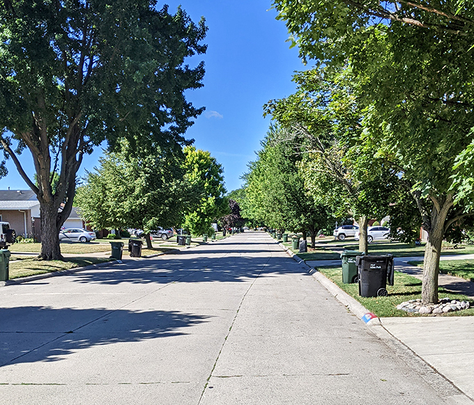 Tree-lined streets that could make a postcard blush. This neighborhood scene is so picturesque, you half expect to see Leave It to Beaver riding his bike down the sidewalk.