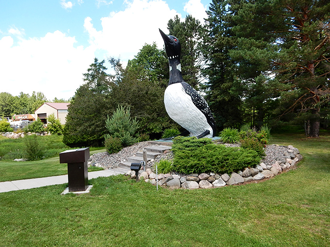Claire's got her eye on you! This larger-than-life loon keeps watch over Mercer's lush landscape like a feathered guardian angel.