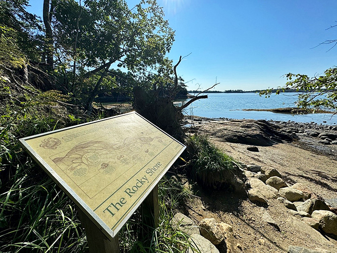Rocky shores and salty air: Nature's own exfoliation treatment, no spa appointment necessary!